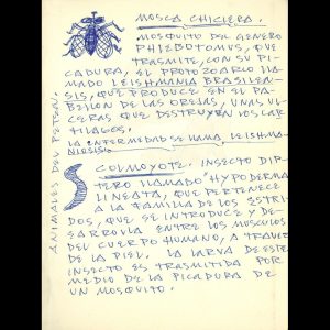 Mosca chiclera y colmoyote - Grajeda Mena